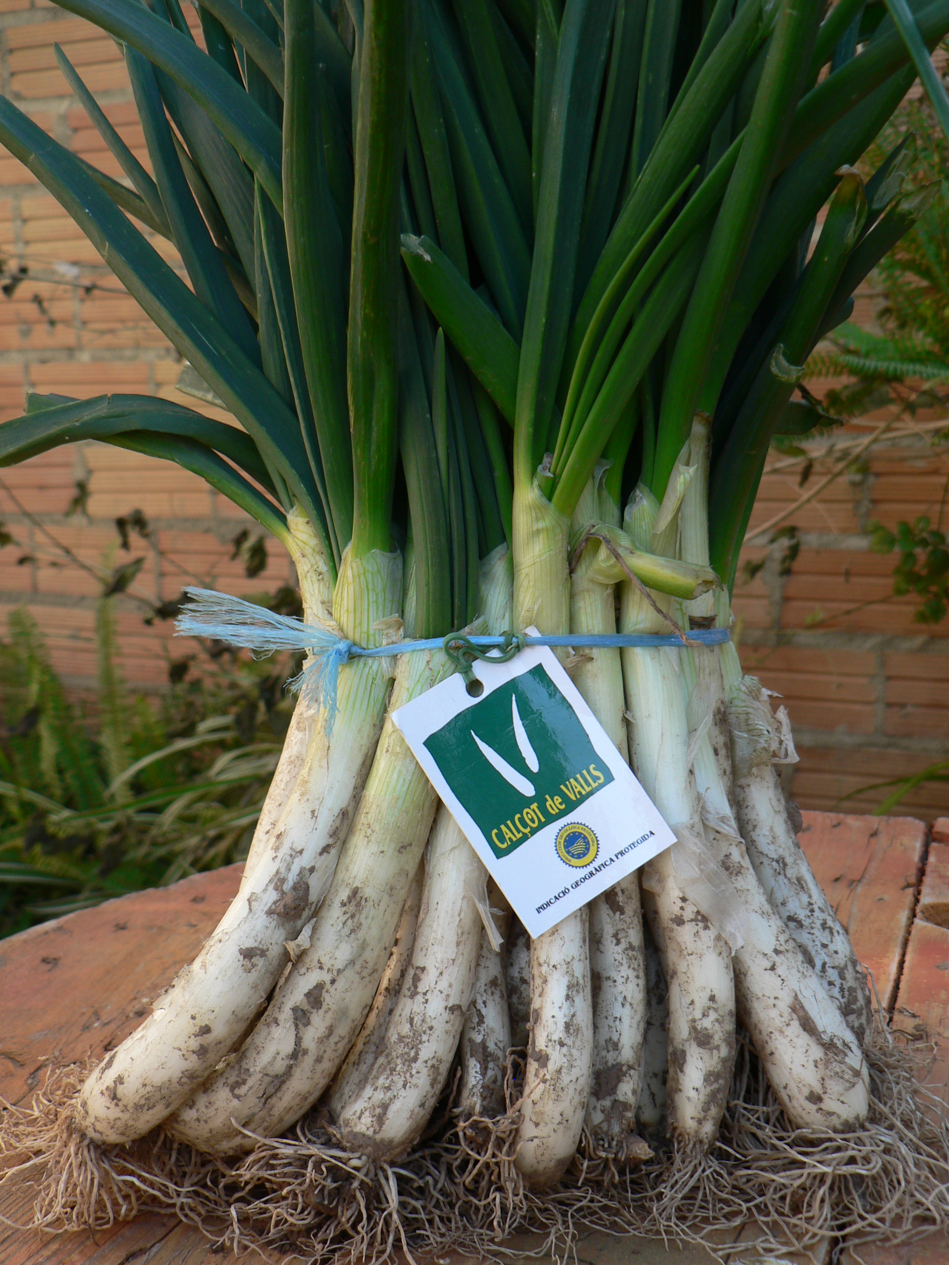 Trutter_Calcot_de_Valls_05.jpg - Der Culinaria Spanien Blog